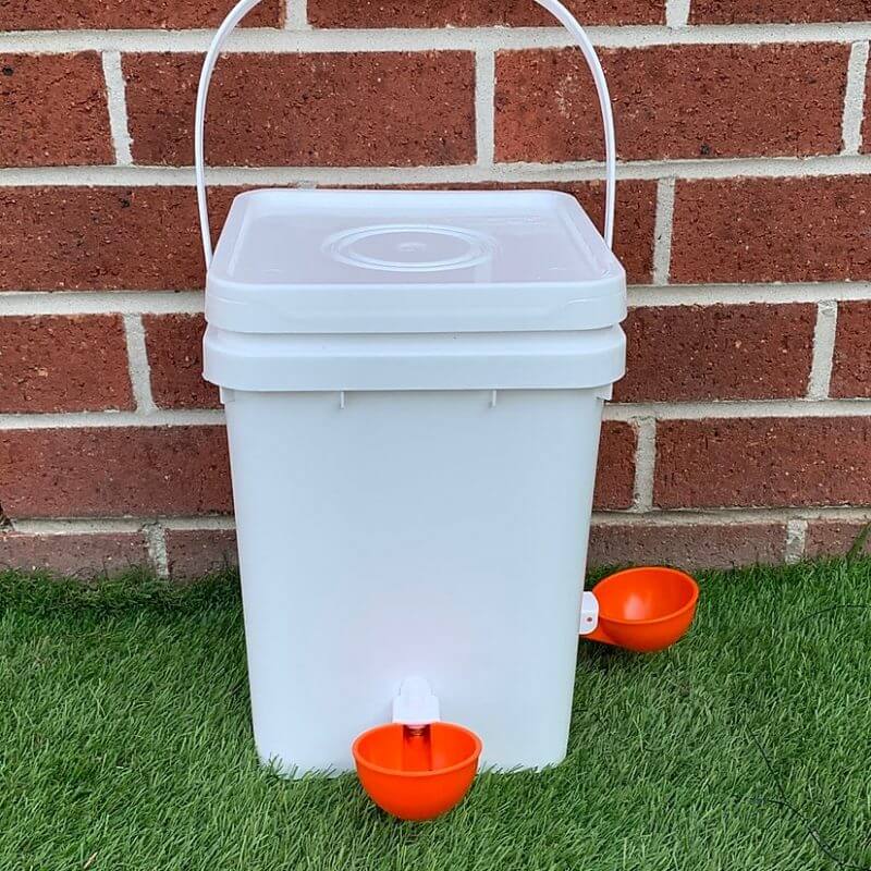 Automatic Waterer for Chickens & Ducks | Top Australian Waterers