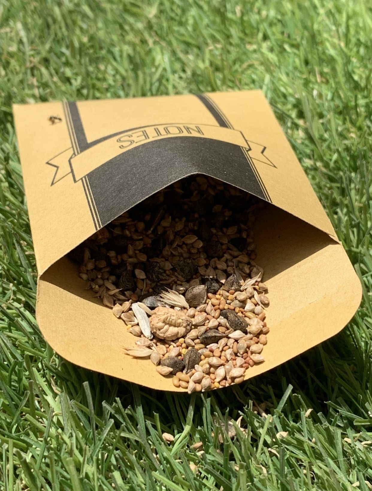 Chook Foraging Mix - Forage Kit also available|