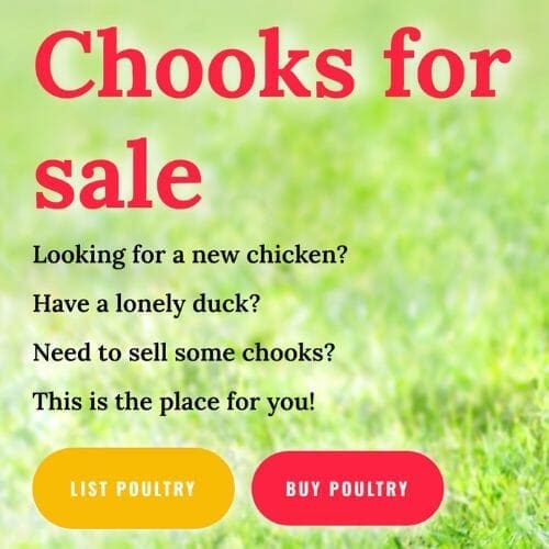 Australian Backyard Chook Specialists | About The Good Life Backyard