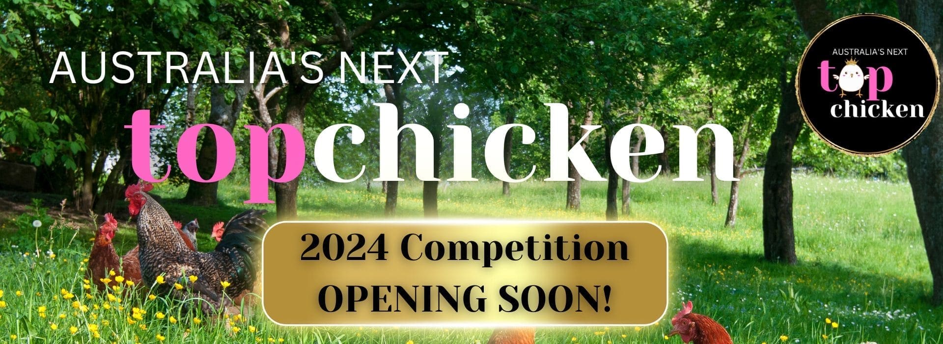 Australia's Next Top Chicken | Enter your favourite chicken to win!