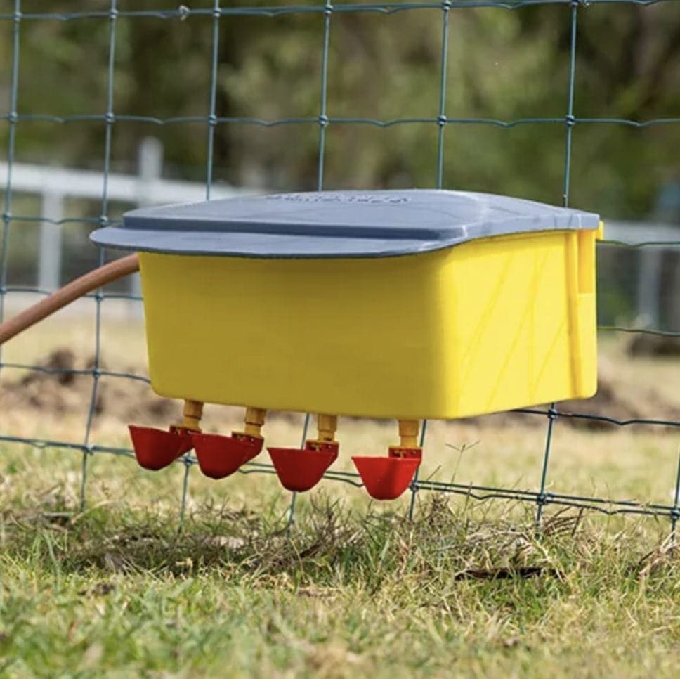 The Best Chicken Waterers | Automatic, DIY & Hanging Options
